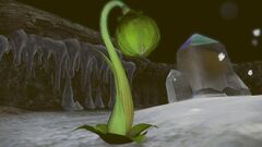 Pellet Posy - Pikipedia, the Pikmin wiki