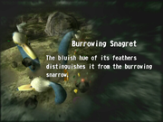 Burrowing Snagret - Pikipedia, the Pikmin wiki