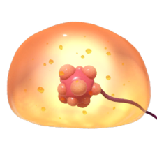 Goolix family - Pikipedia, the Pikmin wiki