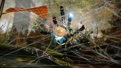 Arachnode - Pikipedia, the Pikmin wiki