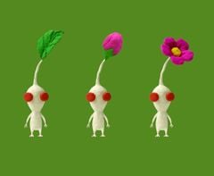 White Pikmin - Pikipedia, the Pikmin wiki