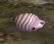 Female Sheargrub - Pikipedia, the Pikmin wiki