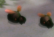 Shearwig - Pikipedia, the Pikmin wiki