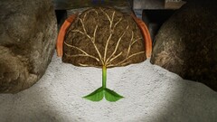 Potted plant - Pikipedia, the Pikmin wiki